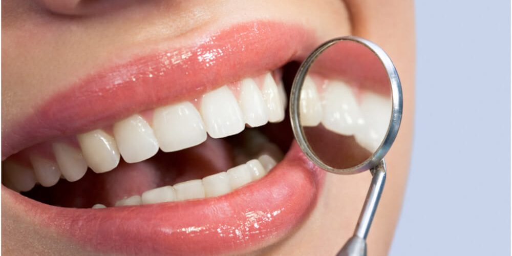 Types Of Teeth And Their Functions Sensational Smiles types-of-teeth-and-their-functions-sensational-smiles